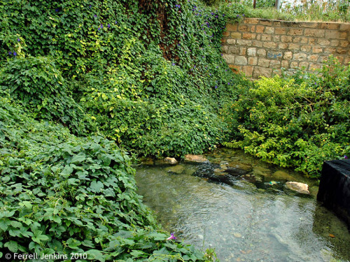 Heal the Waters of Death and Barrenness | Elisha Vision - Commentary